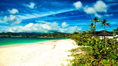 Grenada Citizenship Cost in 2026: Real Passport Price and All ...